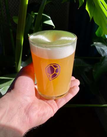 Origin Beer Project