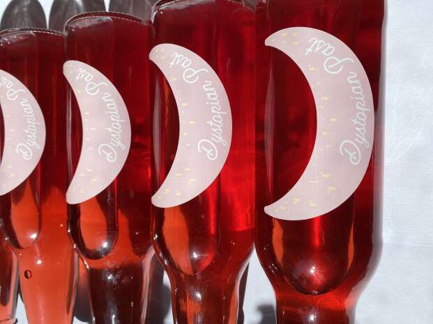 Origin Beer Project